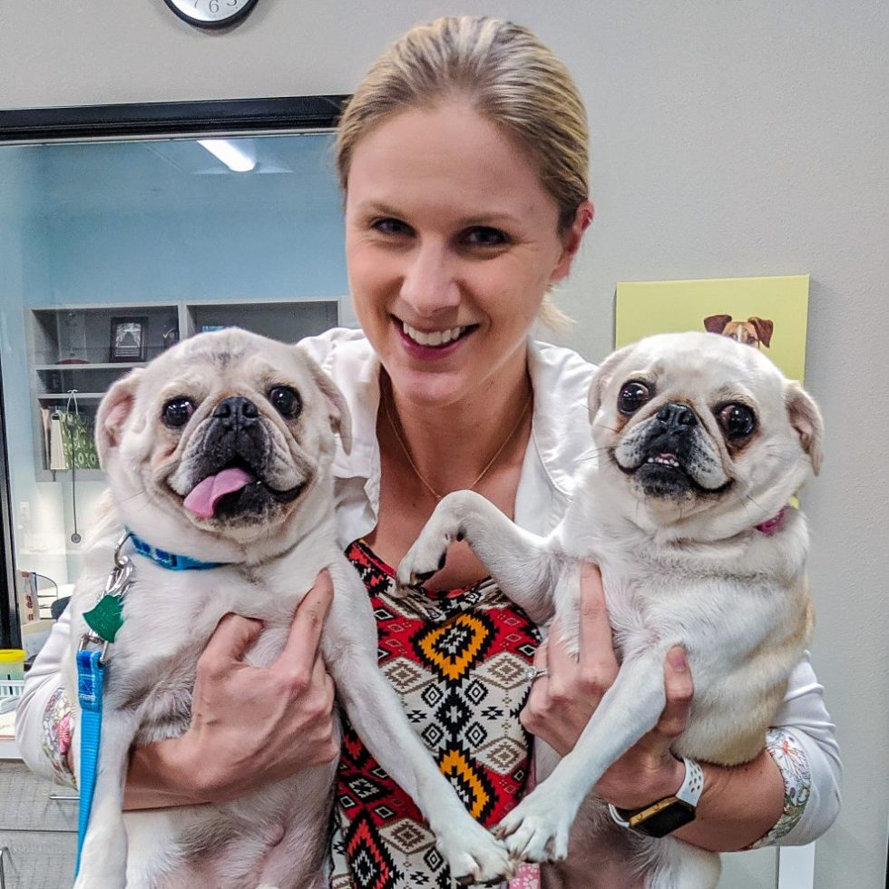 The Derm Vet Podcast - Dr. Ashley Bourgeois, DVM, Dip ACVD