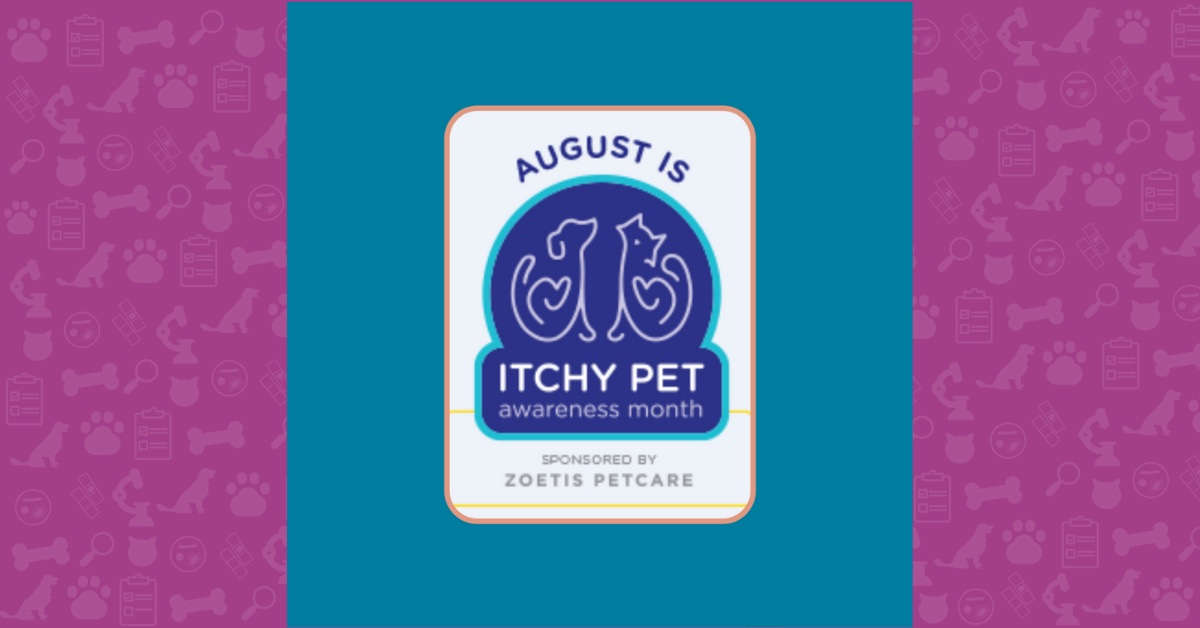 August is Itchy Pet Awareness Month- Time to Get Ready! - The Derm Vet